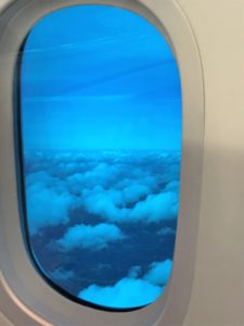 Air France B787 New Business Class Review | Turning Left for Less