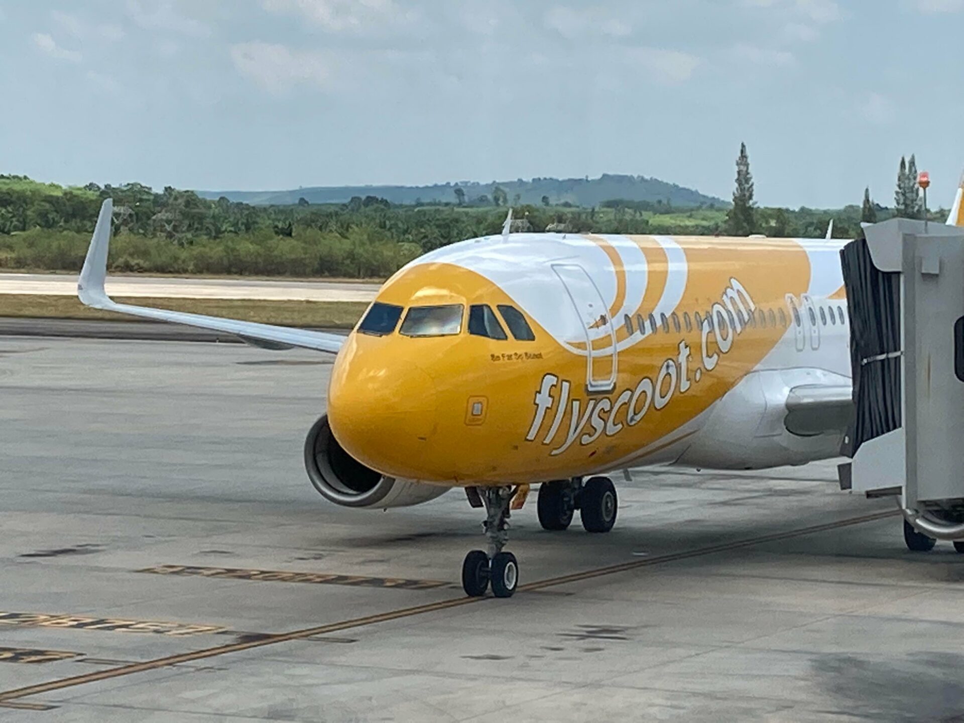 Using Scoot to Get Around Asia + Full Scoot A320 Review [Krabi to ...