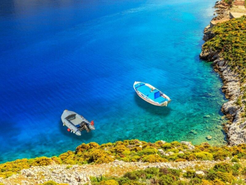 NEWS & OFFER: Qatar resumes Auckland, Etihad sale and 5,000 Avios bonus ...